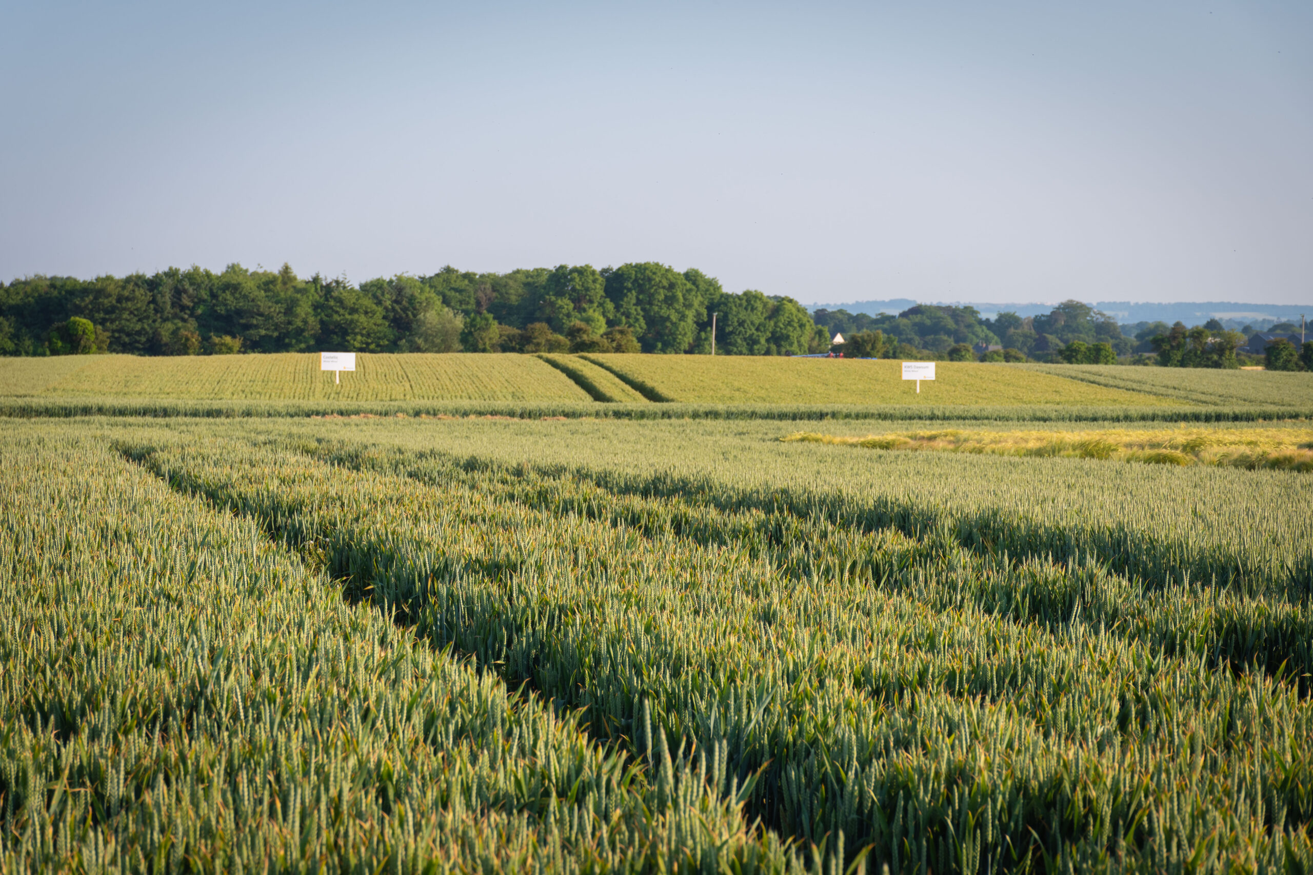 Drummonds Cereals Open Day 2025 - Drummonds Ireland